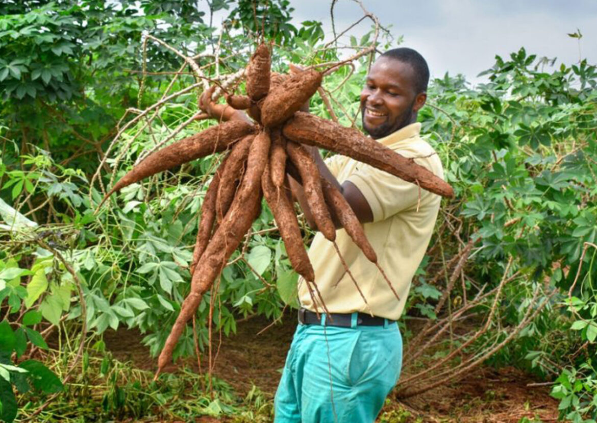 Investigación revela nuevos conocimientos para promover el mejoramiento ...