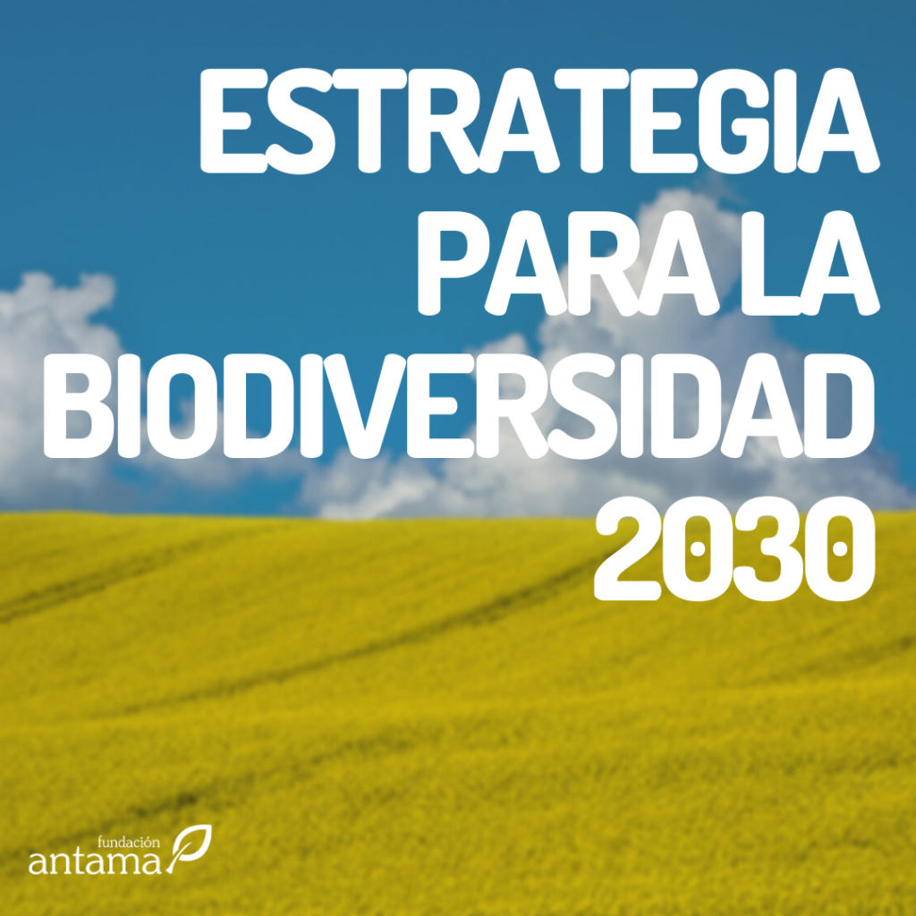 La hormona vegetal citoquinina regula el crecimiento y desarrollo de ...