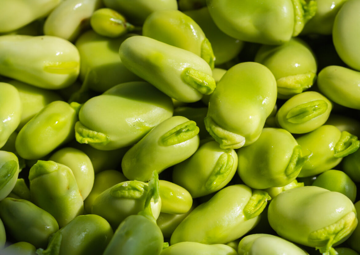 Un equipo de investigación internacional secuencia el genoma de las ...